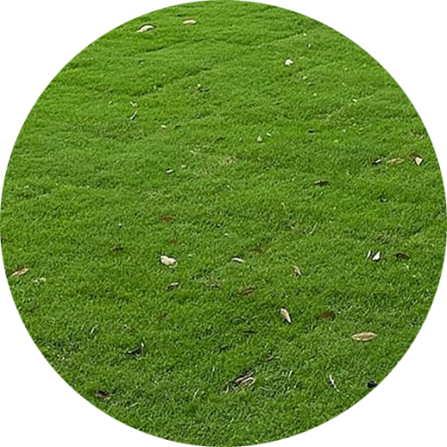 Our Turf – Majors Earth and Turf