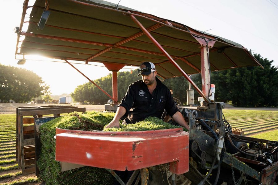 Majors Earth and Turf – Earth and Turf Supplier Sunshine Coast